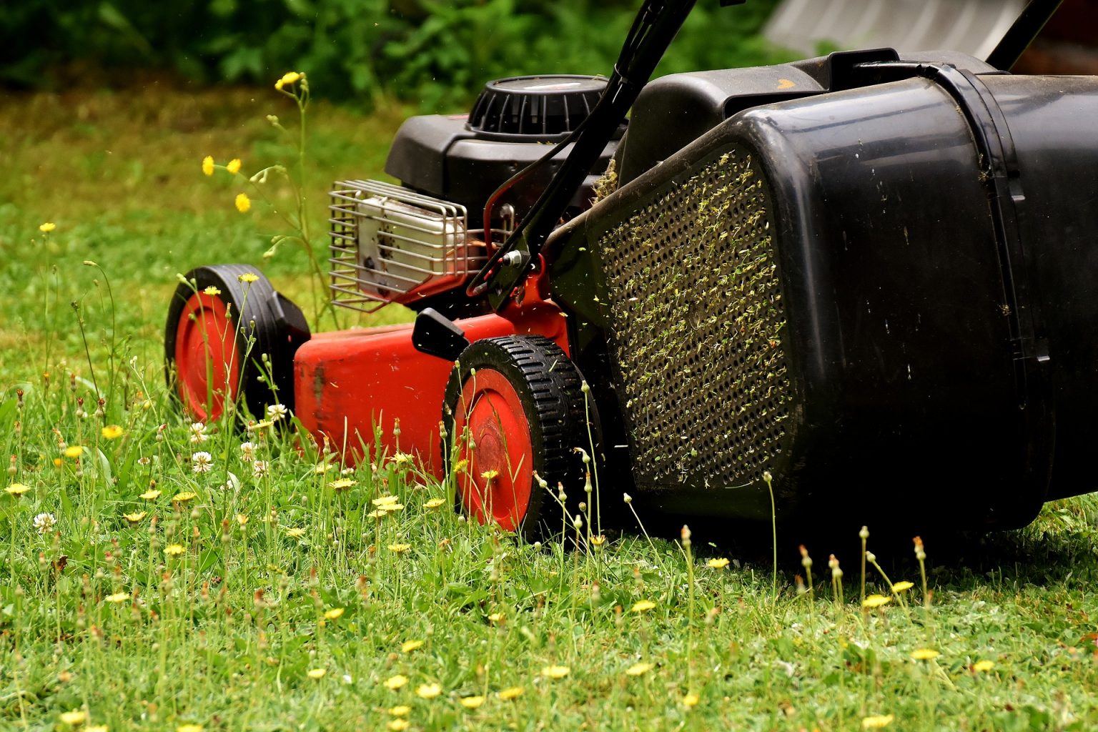7 Best Lawn Mower Blades For Bagging - FarmTilling