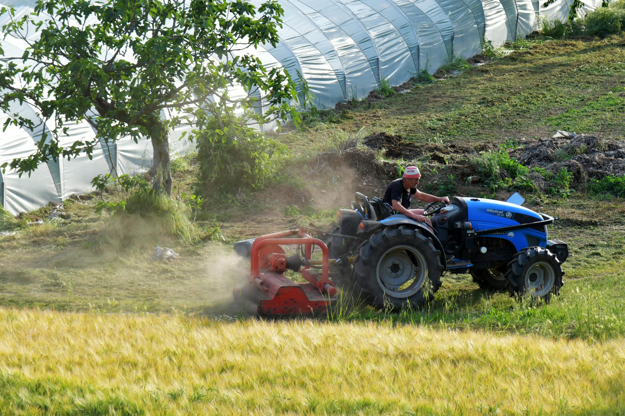 How High Can You Cut Grass With A Flail Mower? - FarmTilling