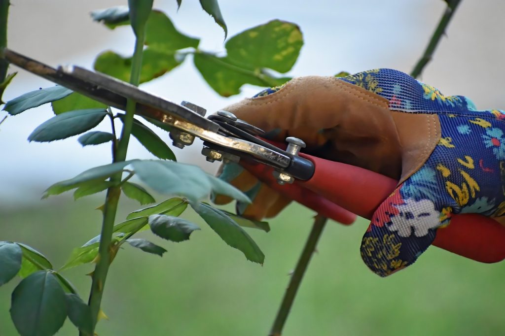 10 Best Japanese Secateurs - FarmTilling