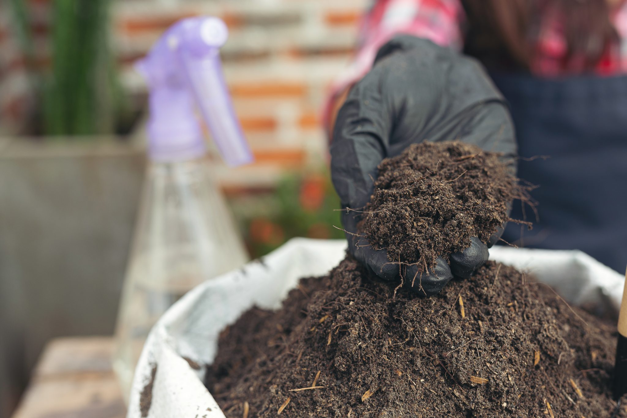 Why Do Container Plants Need Special Fertilizer? - FarmTilling