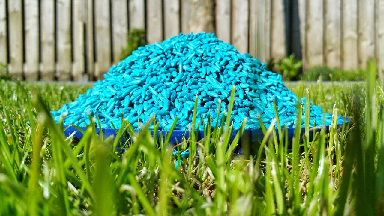 What Are The Benefits Of 8-24-24 Fertilizers? Find 10 Best - FarmTilling