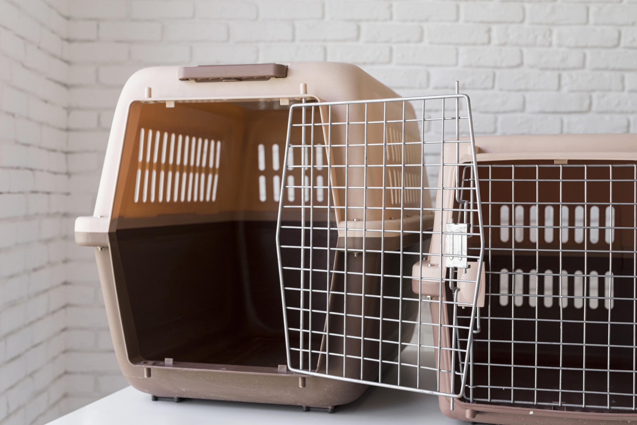 Heavy Duty Rabbit Show Boxes For Large Breeds - FarmTilling