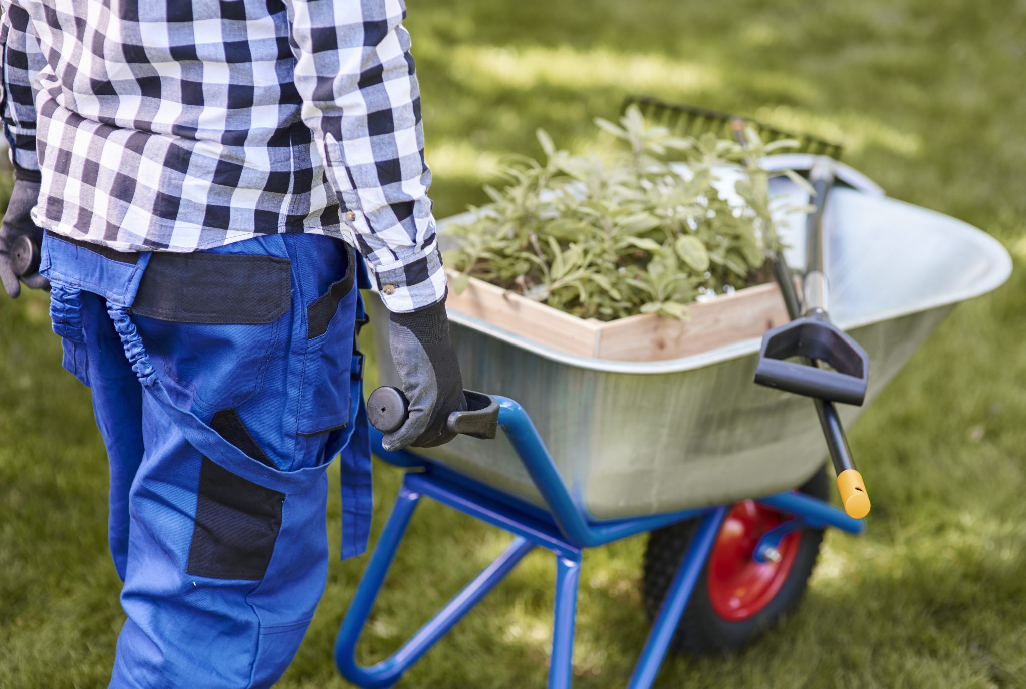 20 Best Lawn Maintenance Tips For Fall - FarmTilling