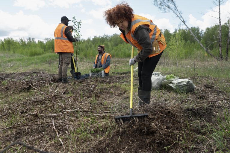 How Do You Use Roebic K-77 Root Killer? - FarmTilling