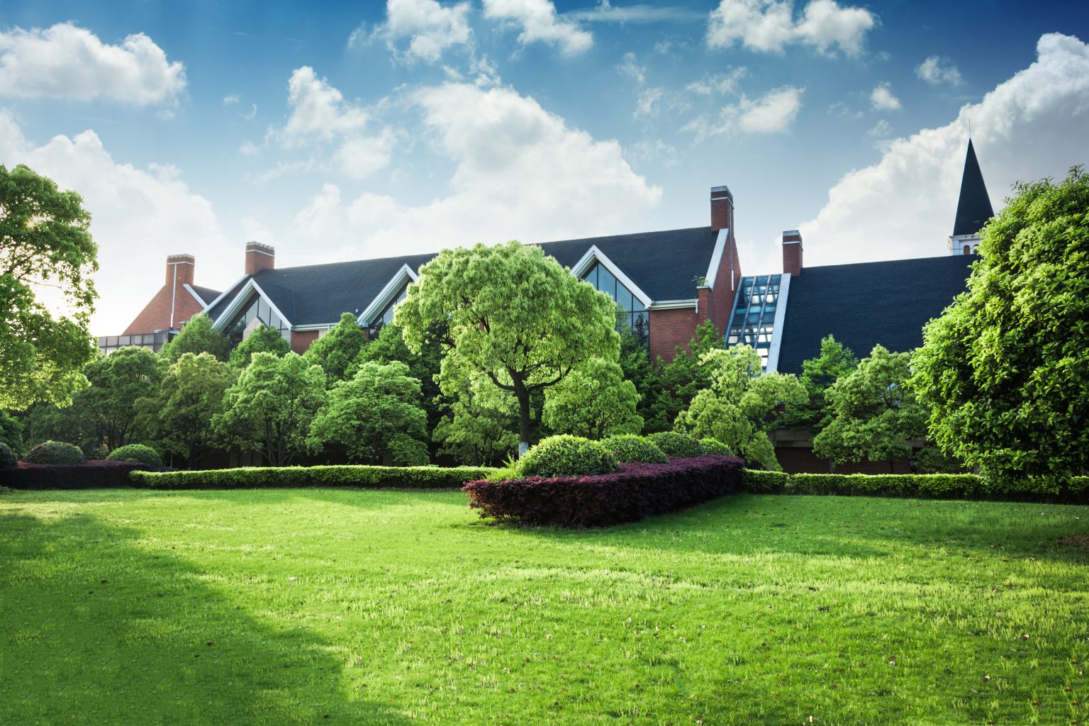 10 Best Methods Of How To Kill Creeping Charlie But Not My Lawn ...