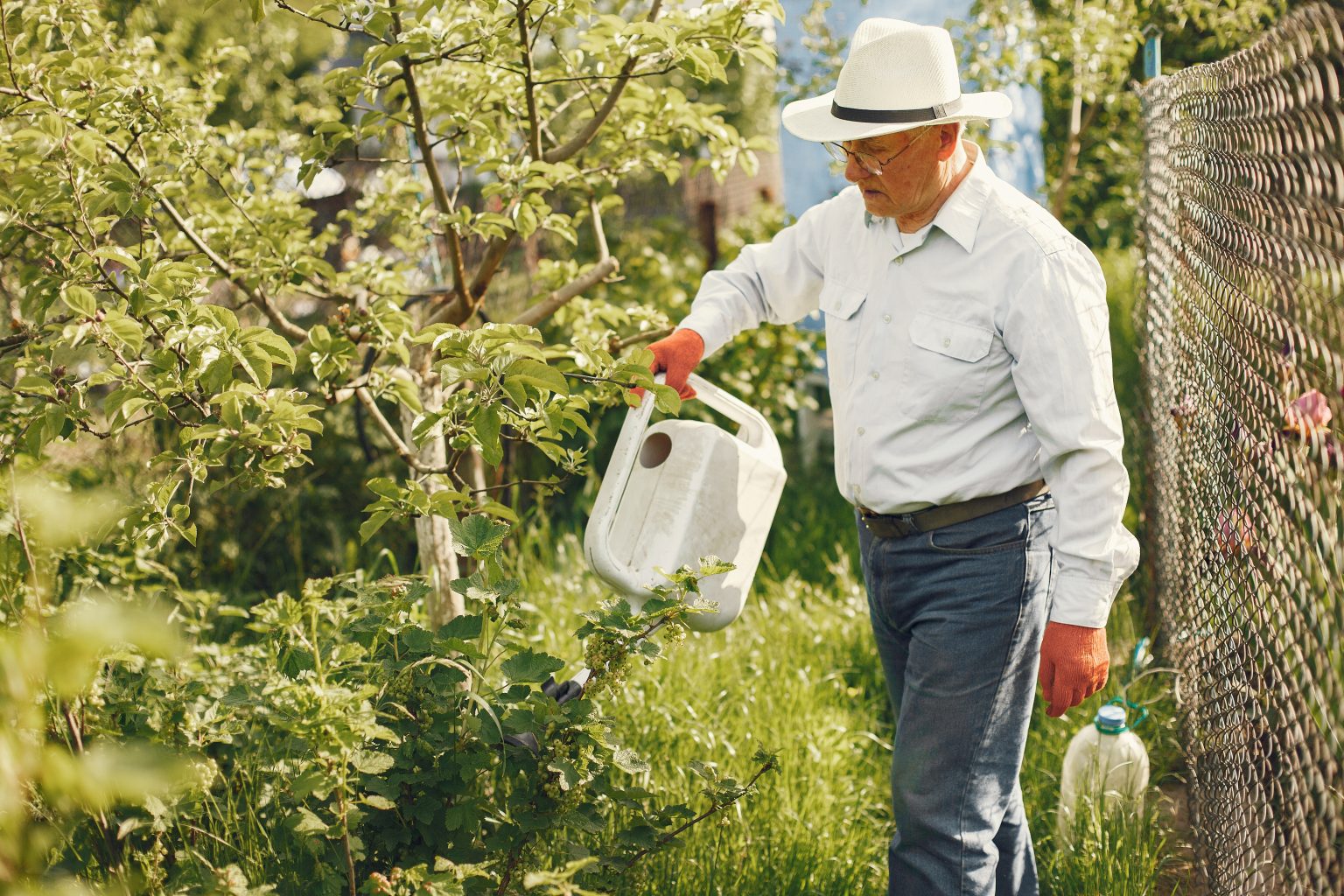 What Is The Best Residual Weed Killer? Find 10 Best - FarmTilling